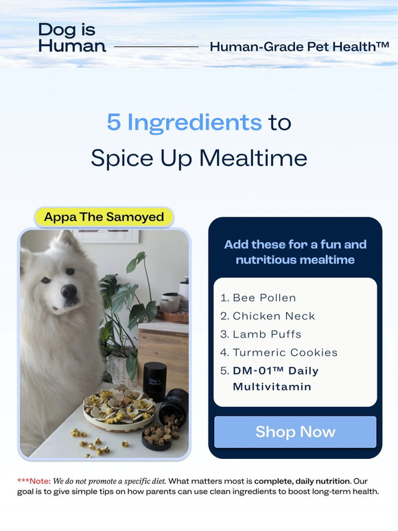 Dog is Human: Ingredient Inspo with Appa | Milled