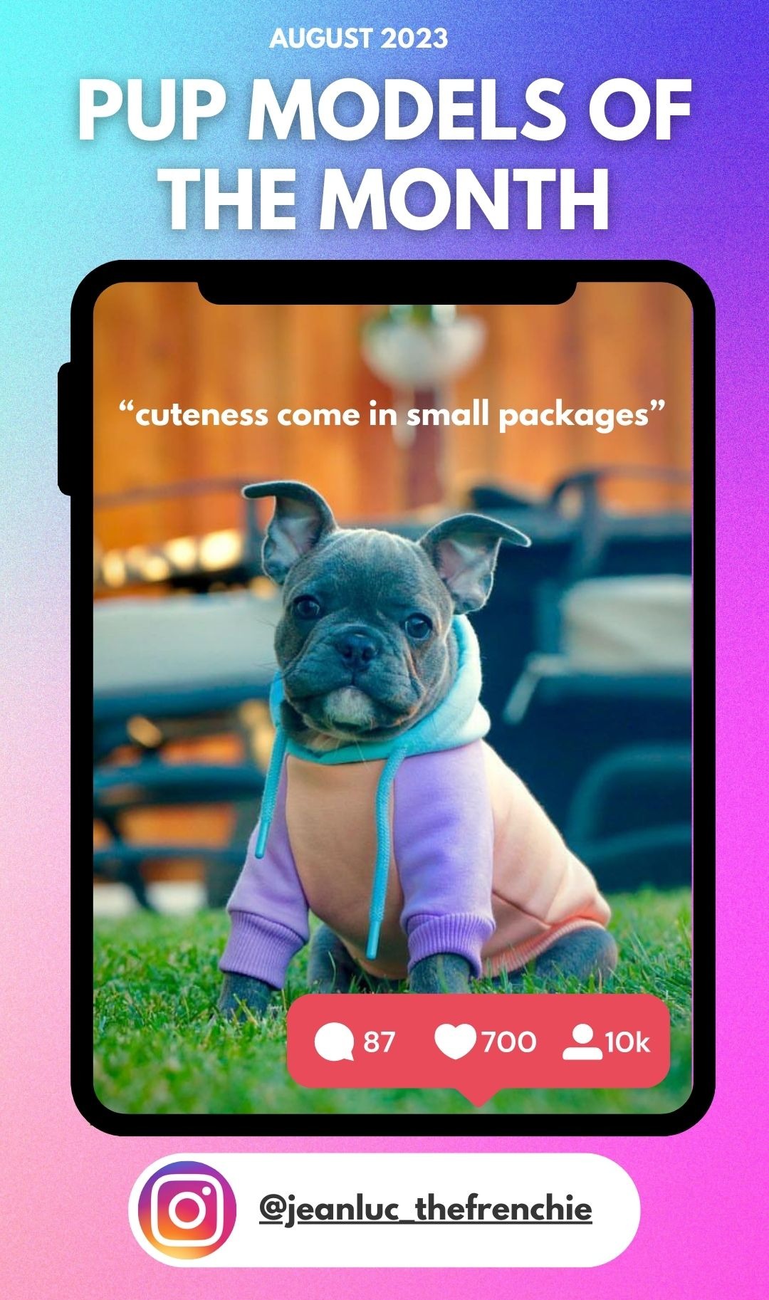 Spark Paws: August's Top Pup Models Have Arrived!🔥 | Milled