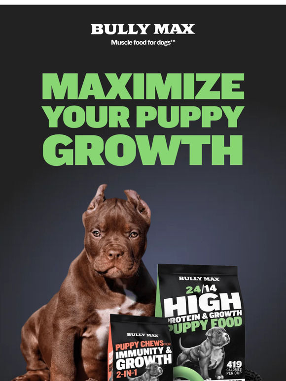 Bully Max: SURPRISE — Puppy Starter Pack is here! 🐶 | Milled