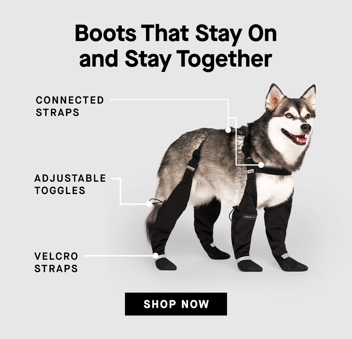 Canada Pooch: NEW Suspender Boots! | Milled