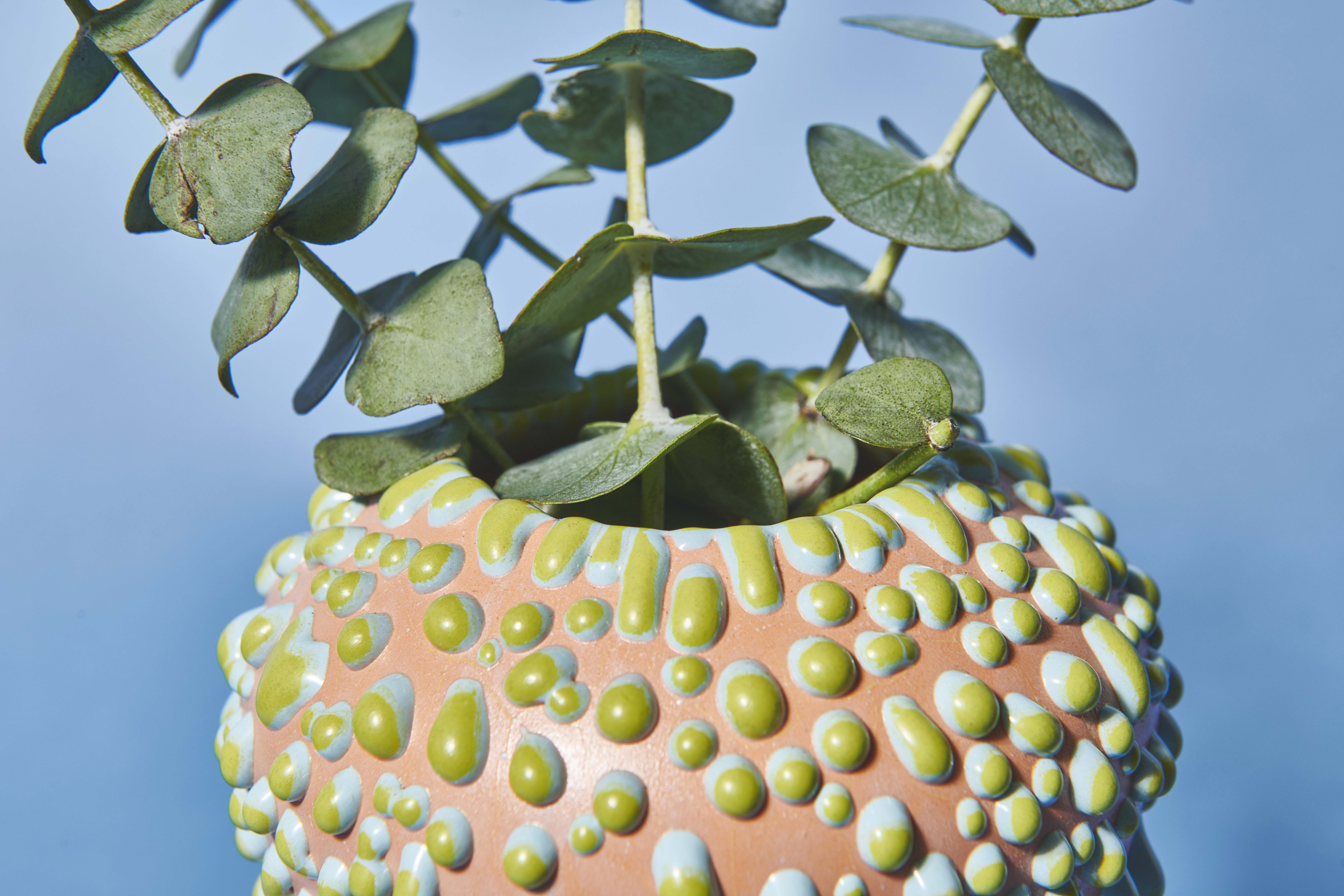 Houseplant: Elevate Your Home with the Gloopy Vase | Milled