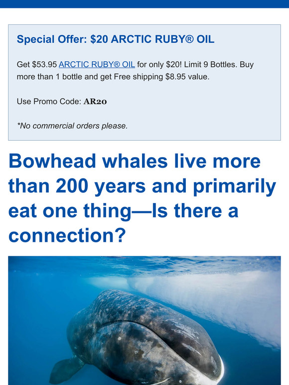 Immunocorp: $20 Arctic Ruby® Oil—Today Only | Milled