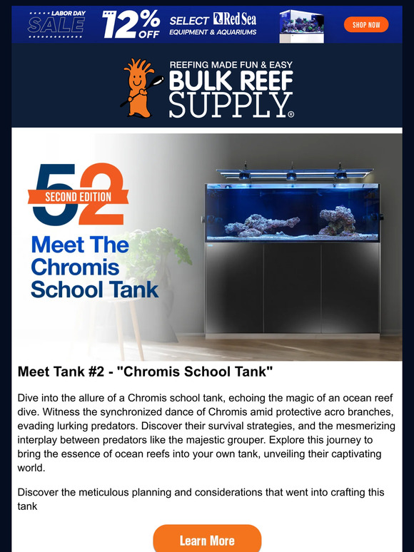 Bulk Reef Supply: BRStv 52 Weeks SE: Meet The Tanks - "The Chromis ...