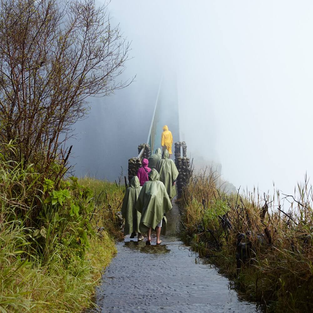 Go2Africa: Victoria Falls + Safari: Our 10 Best Trips | Milled