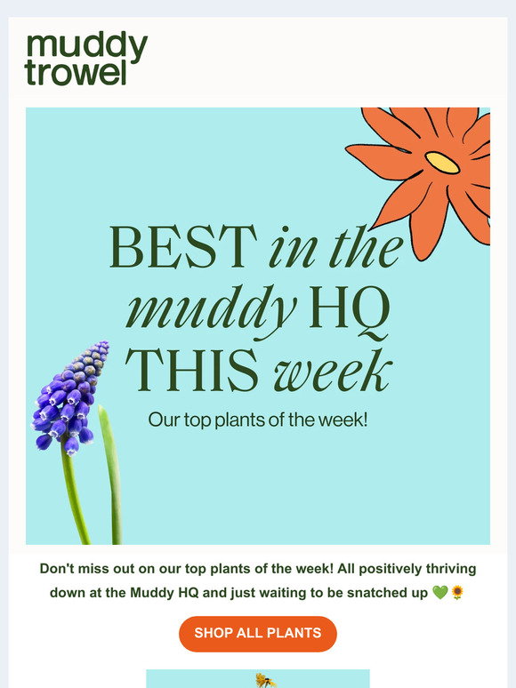 Muddy Trowel: Our plants of the week 💚🌻 | Milled