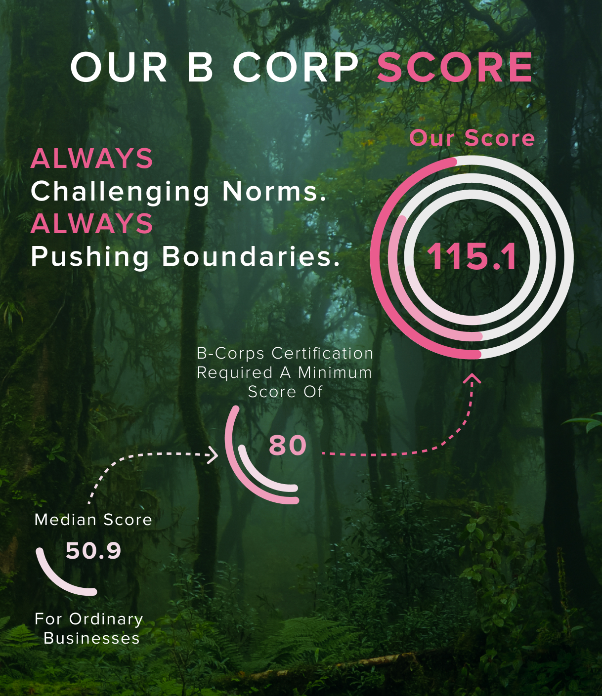Liforme: Living and learning - our ethical journey as a B Corp | Milled