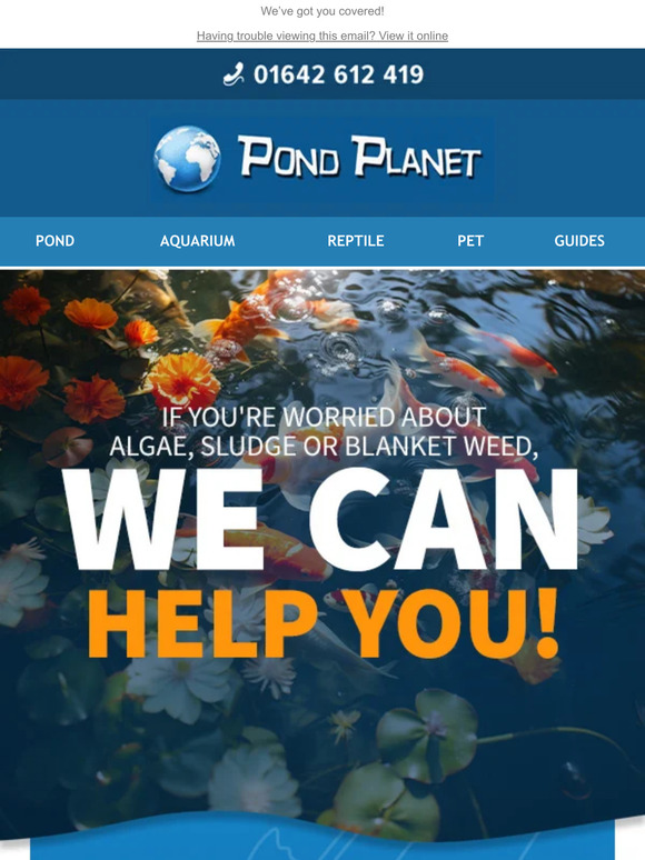 Pond Planet: Worried about pond maintenance? | Milled