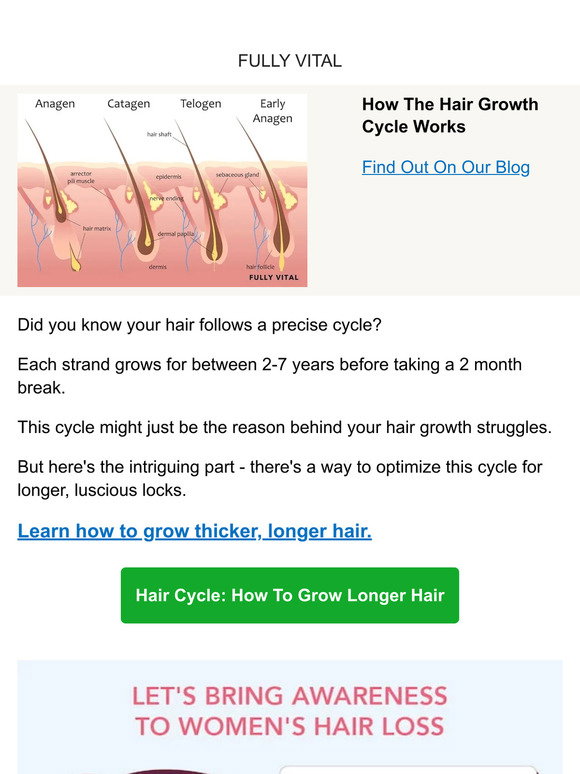 FullyVital: How the hair cycle works to grow hair | Milled