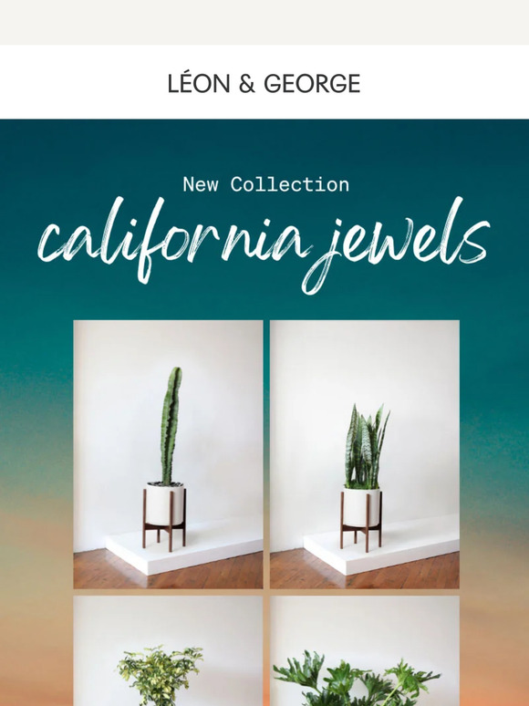 Leon & George: Introducing The California Jewel Collection 💎🌿 | Milled