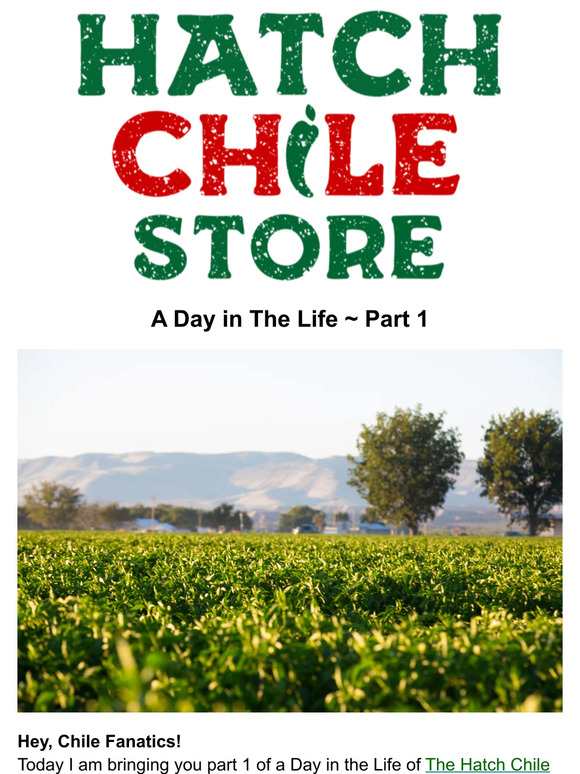 Hatch Green Chile: A Day in the Life of the Hatch Chile Store - Part 1 ...