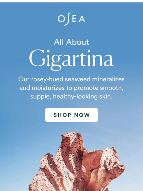 OSEA Malibu: Say Hello to Gigartina | Milled