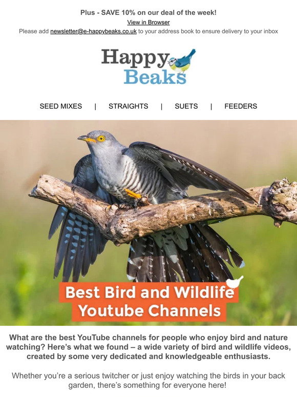 Happy Beaks: Best Bird and Wildlife YouTube Channels | Milled