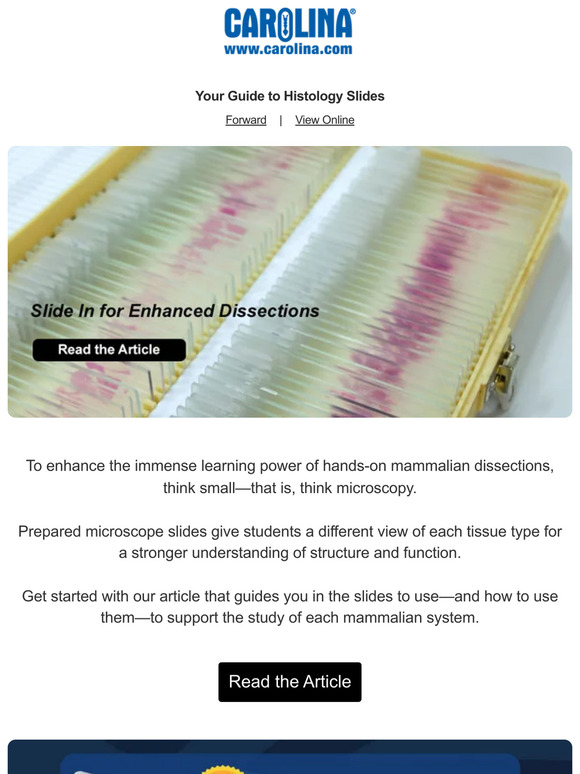 Carolina: Histology Slides That Enhance Mammalian Dissection | Milled