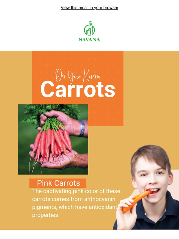 savanagarden.com: Growing Vibrant Pink Carrots: Varieties and Tips | Milled