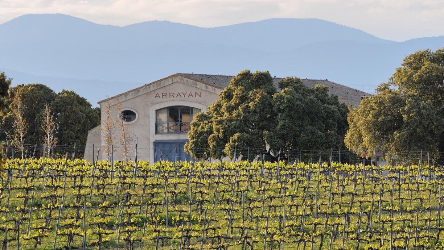 Lavinia: 🍷 Bodegas Arrayán: pureza y personalidad | Milled