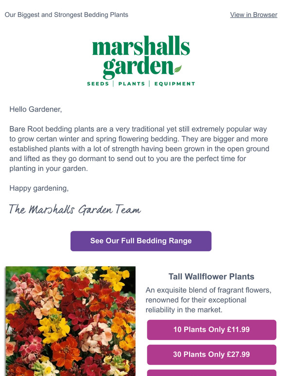 Marshalls Seeds: Wallflowers & Sweet Williams From Only 69p | Milled