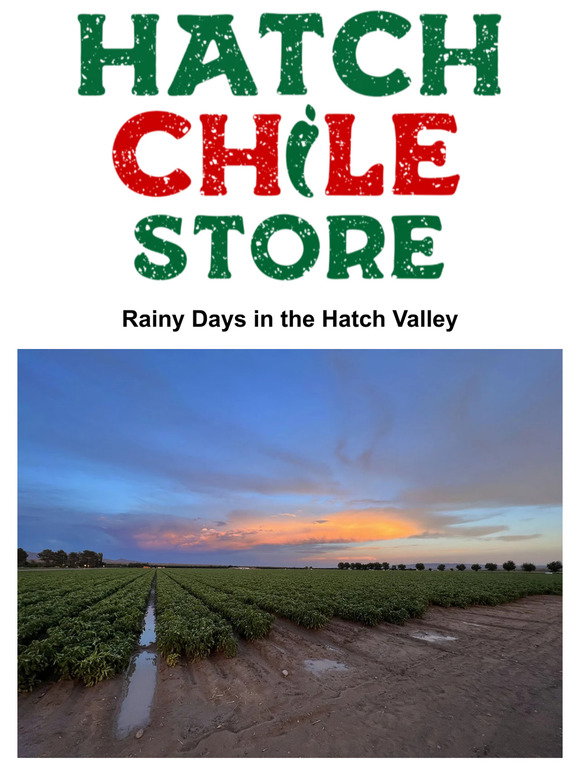 Hatch Green Chile: Rainy Days In The Hatch Valley Can Really Get Us ...