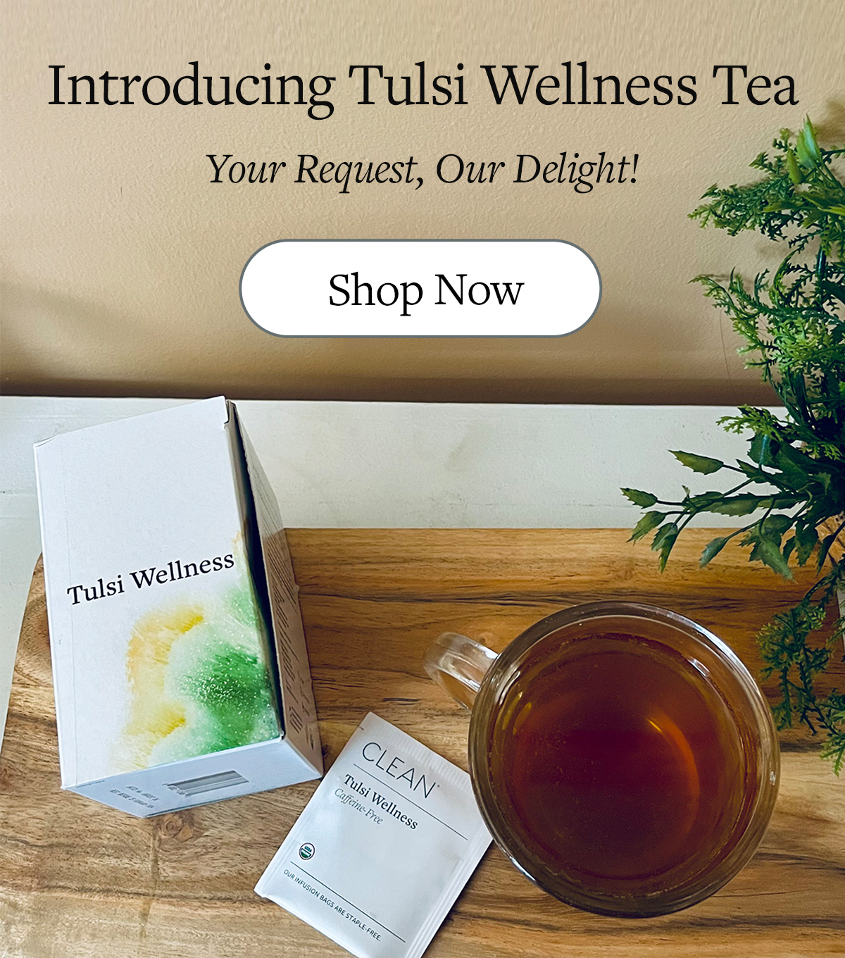 Clean Program: Introducing Our Tulsi Wellness Tea 💚 | Milled
