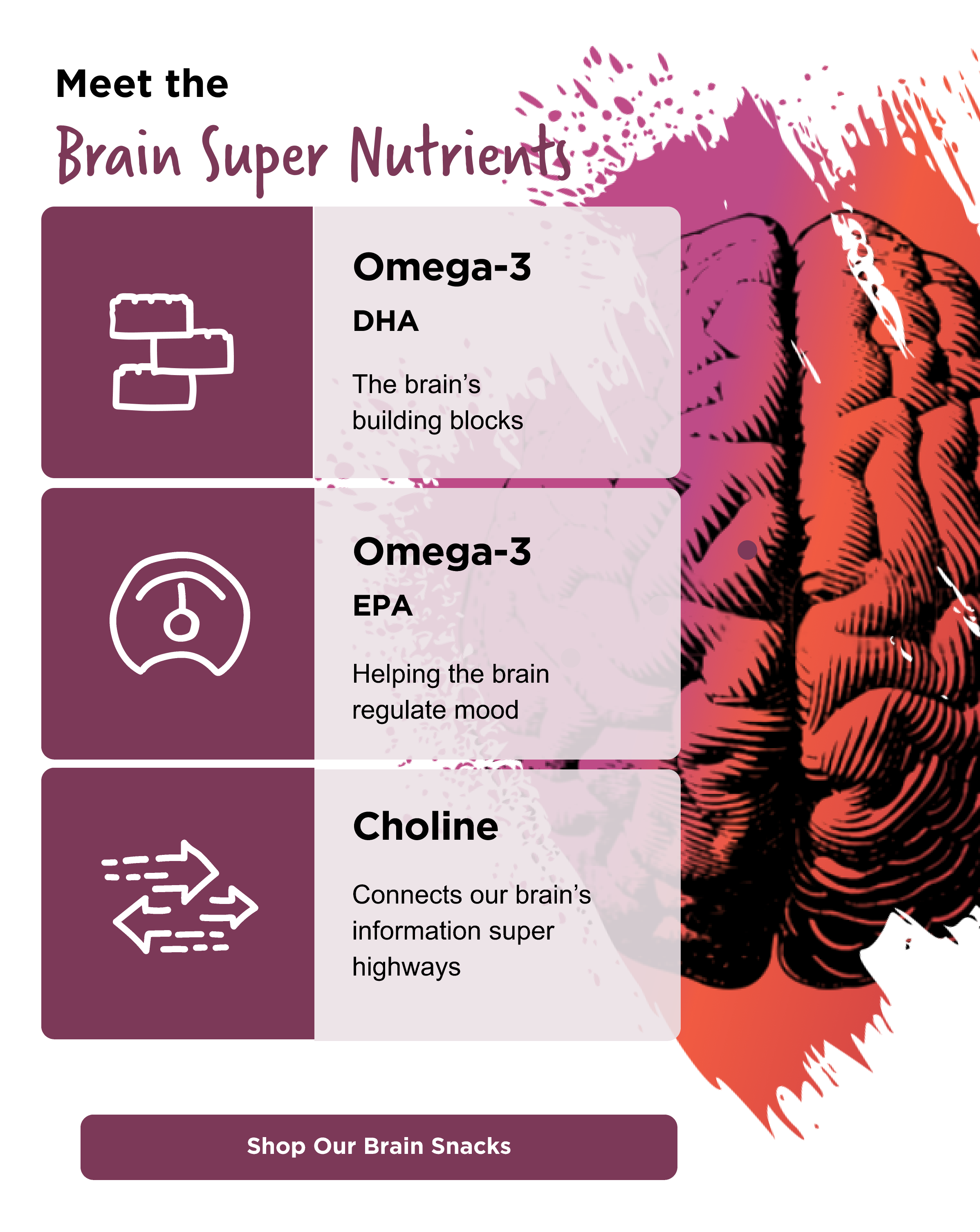 Brainiac: Learn about our brain super nutrients 🤓 | Milled