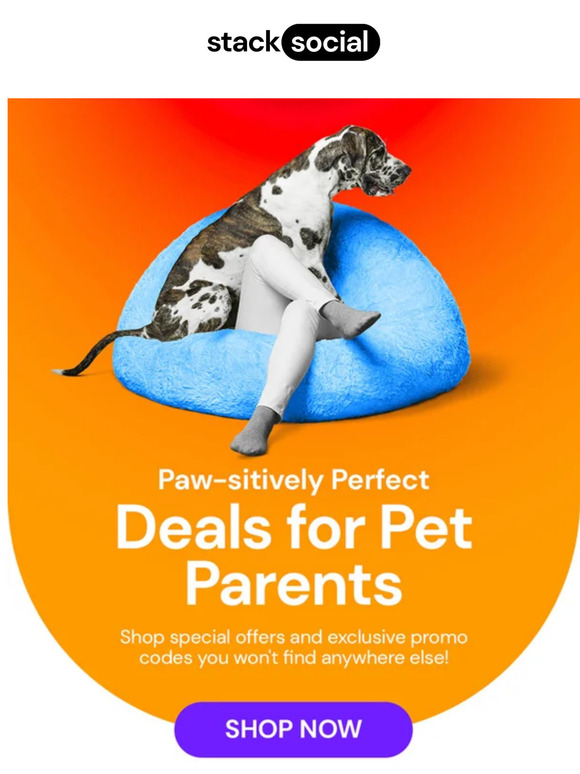 Stacksocial: What Every Pet Parent NEEDS | Milled