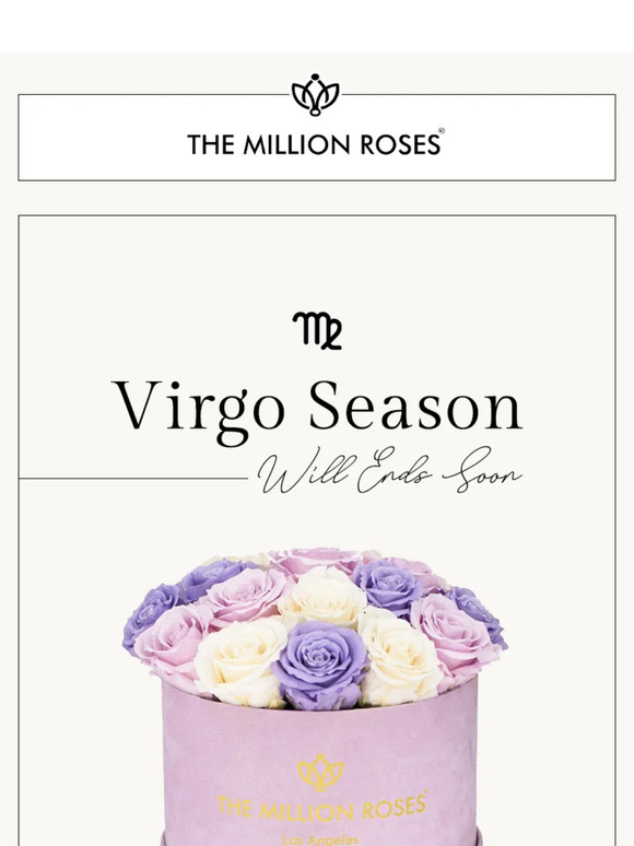 The Million Roses: ♍ Virgo Season's Final Dance 🌠 | Milled