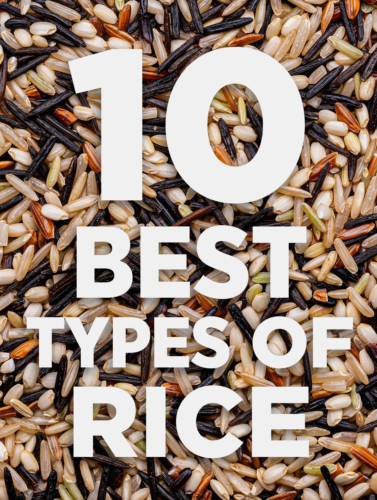 Lundberg Family Farms: 10 Best Types of Rice 🌾 | Milled