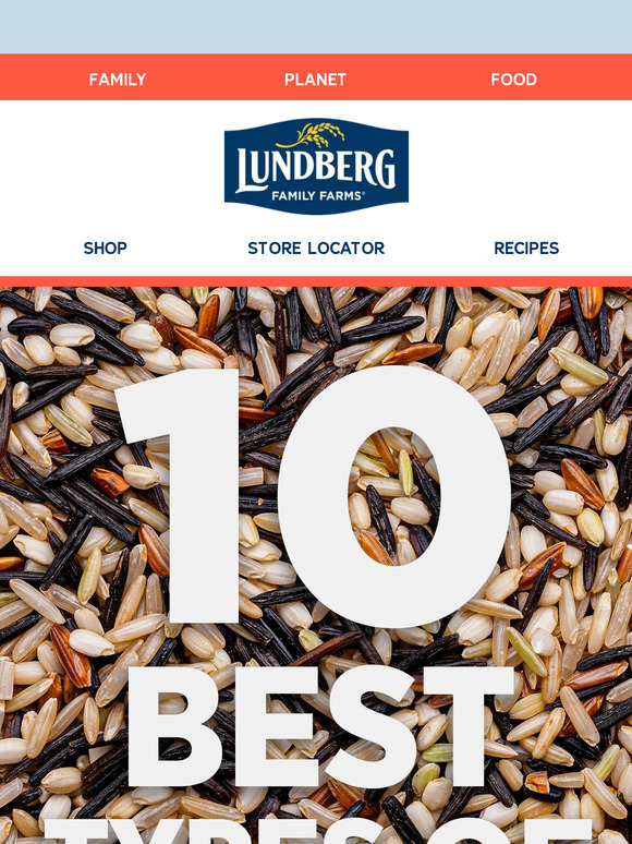 Lundberg Family Farms: 10 Best Types of Rice 🌾 | Milled