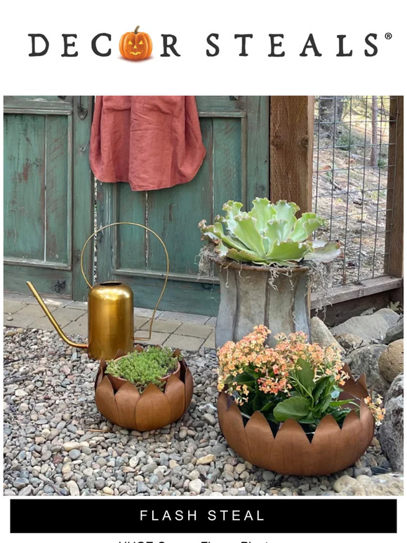 Decor Steals: Create Stunning Greenery Displays 🌱 | Milled