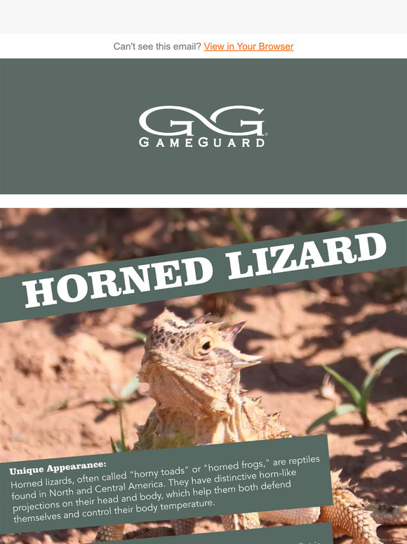 GameGuard: GameGuard Animal Spotlight: The Horned Lizard | Milled