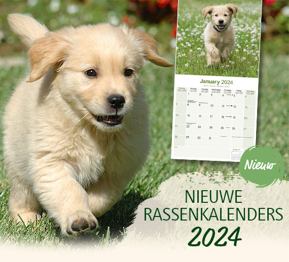 Alsa-nature: 🐕 Nieuwe hondenrassen jaarkalenders voor 2024! Bekijk ze nu... | Milled
