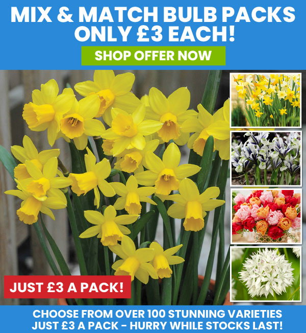 Suttons Seeds: Only £3! Mix & Match Bulb Packs | Milled
