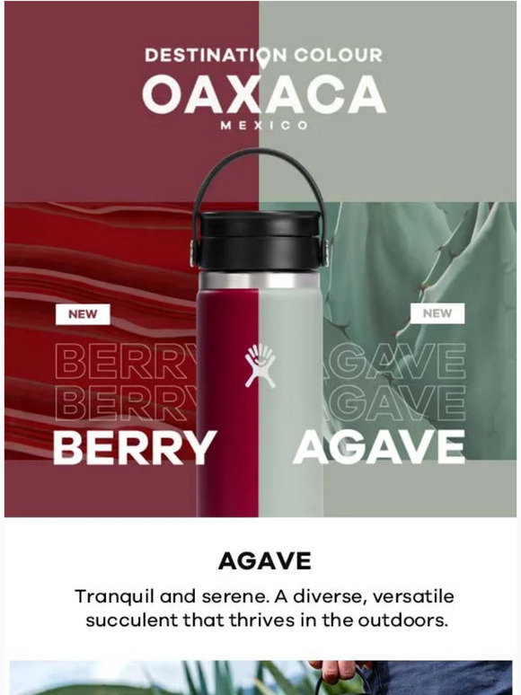 Hydro Flask: NEW COLORS are here! 🗣️ | Milled