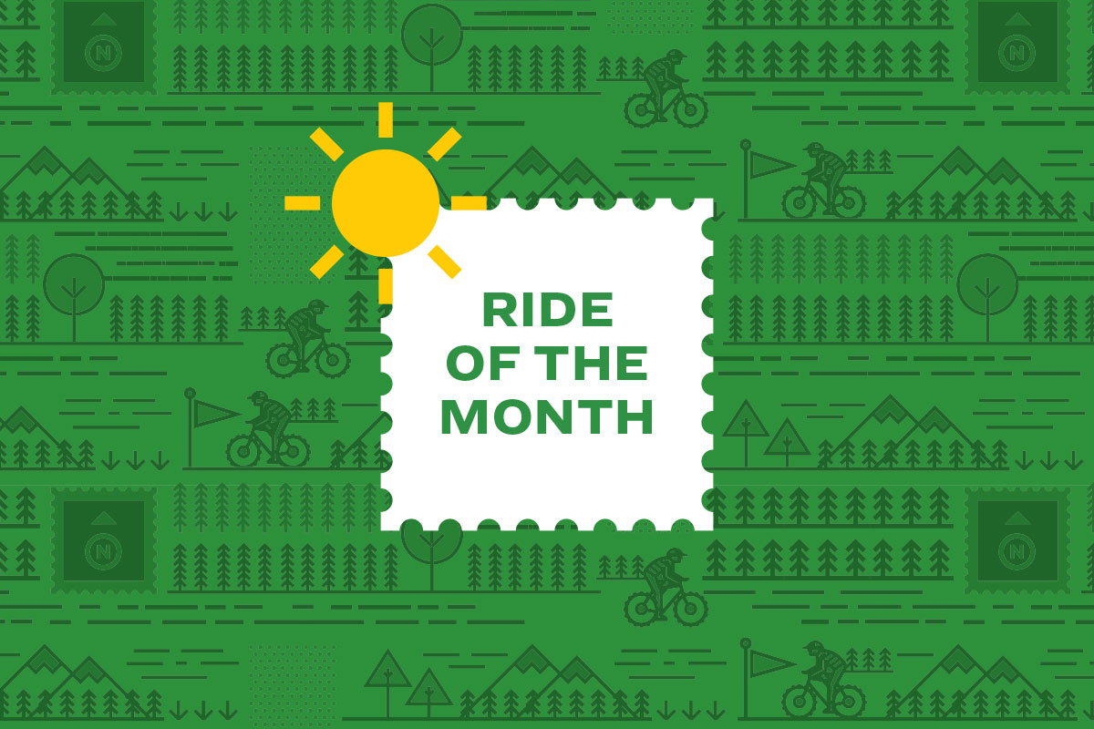 Trek Bicycle: These routes are as good as gold | Milled