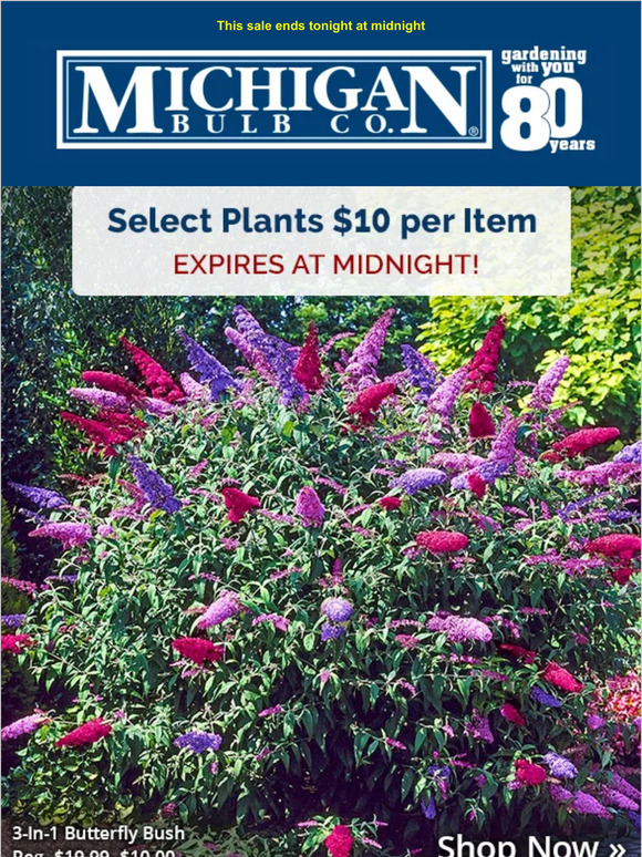 Michigan Bulb: Final hours! Select plants for $10 apiece | Milled
