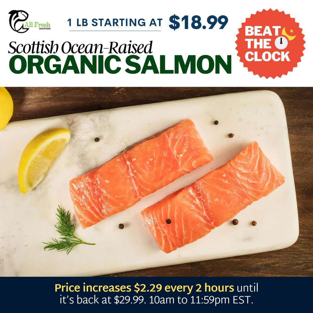 All Fresh Seafood: Scottish Organic Salmon | Beat the Clock on Now ⭐ ...