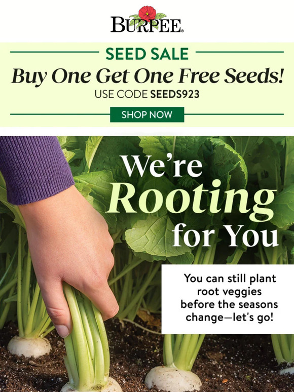 Burpee: Plant root veggies while you can | Milled