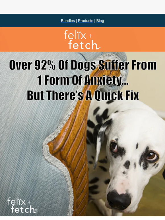 Felix + Fetch: 🐾 Is Your Dog Stressed? Unlock Nature's Soothing Secret ...