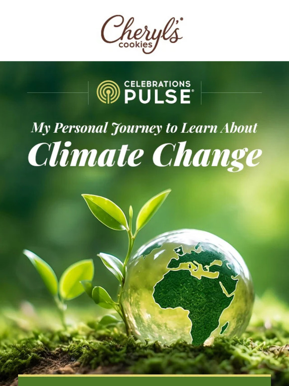 The Popcorn Factory: How sustainable farming can help save the planet ...