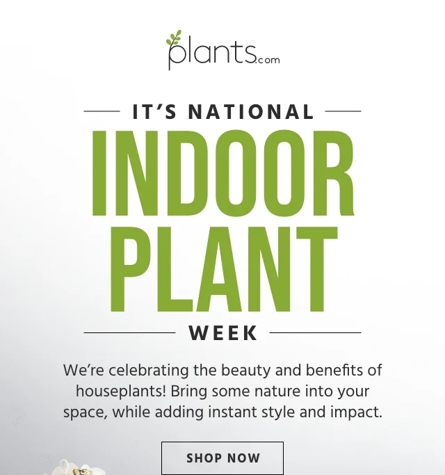 Plants.com: 15% Off for National Indoor Plant Week | Milled