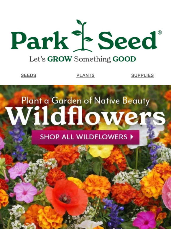 Park Seed: Rediscover America's Native Beauty—Plant Wildflowers Today ...