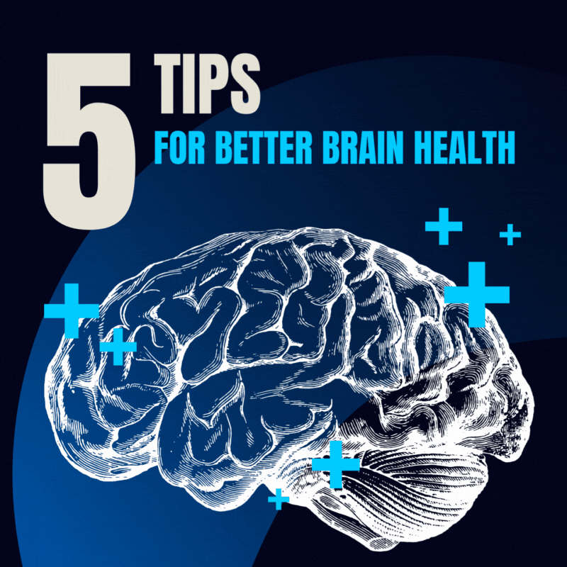 Focus Factor: —, Here's 5 Tips For Better Brain Health! | Milled