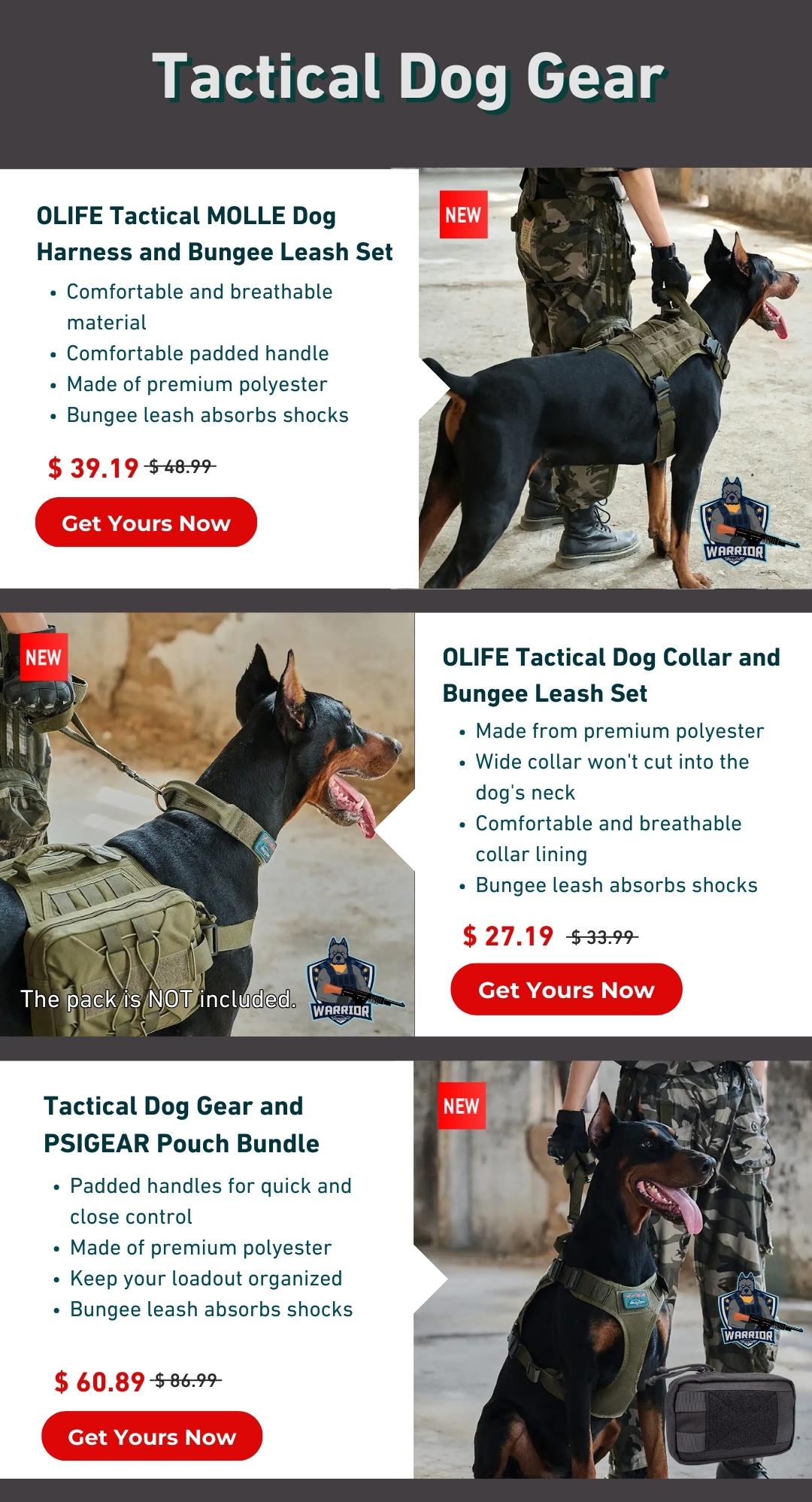 Olight: Top concealed carry holsters and tactical dog gear, let's take ...