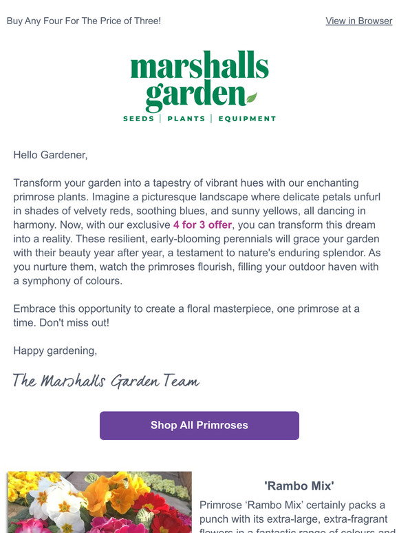 Marshalls Seeds: Primose's From Just 47p Per Plant! | Milled