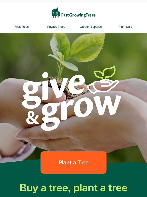Fast Growing Trees: Give & Grow starts now | Milled