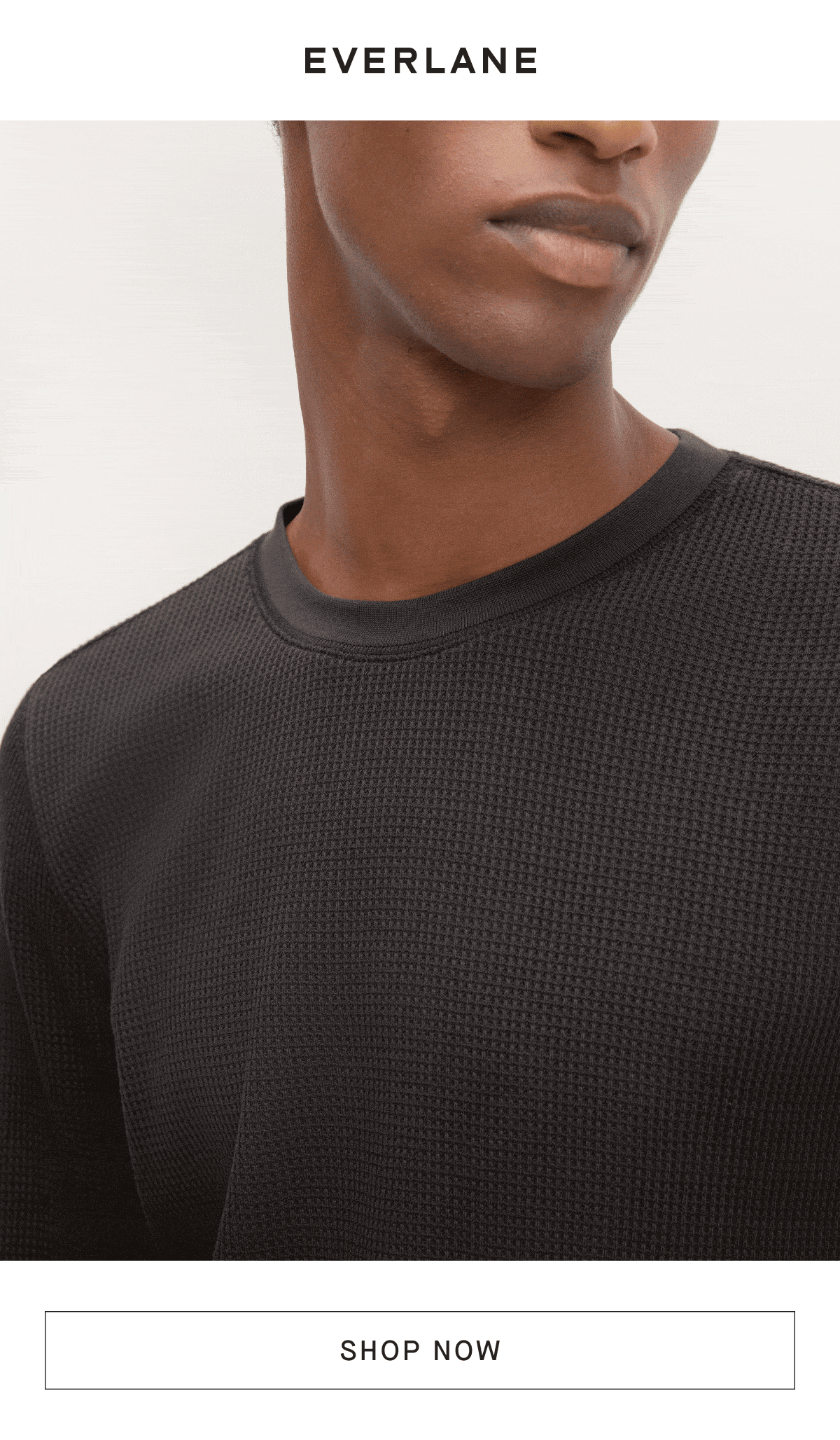 Everlane: Fall Staples You’ll Love | Milled