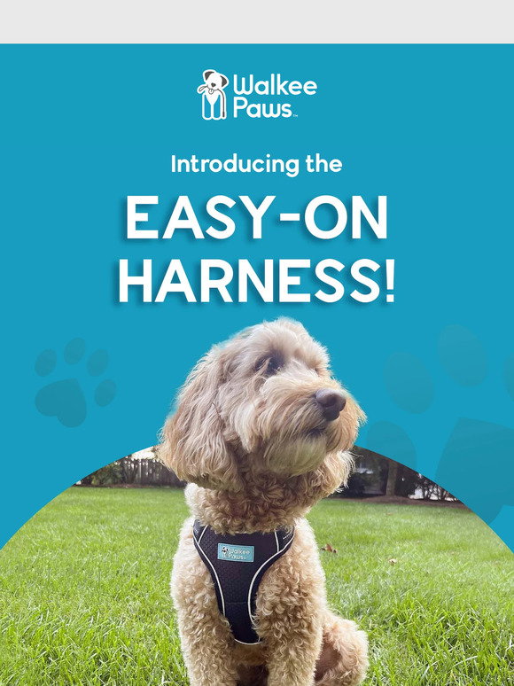 Walkee Paws: It's finally here: a Walkee Paws Harness! | Milled