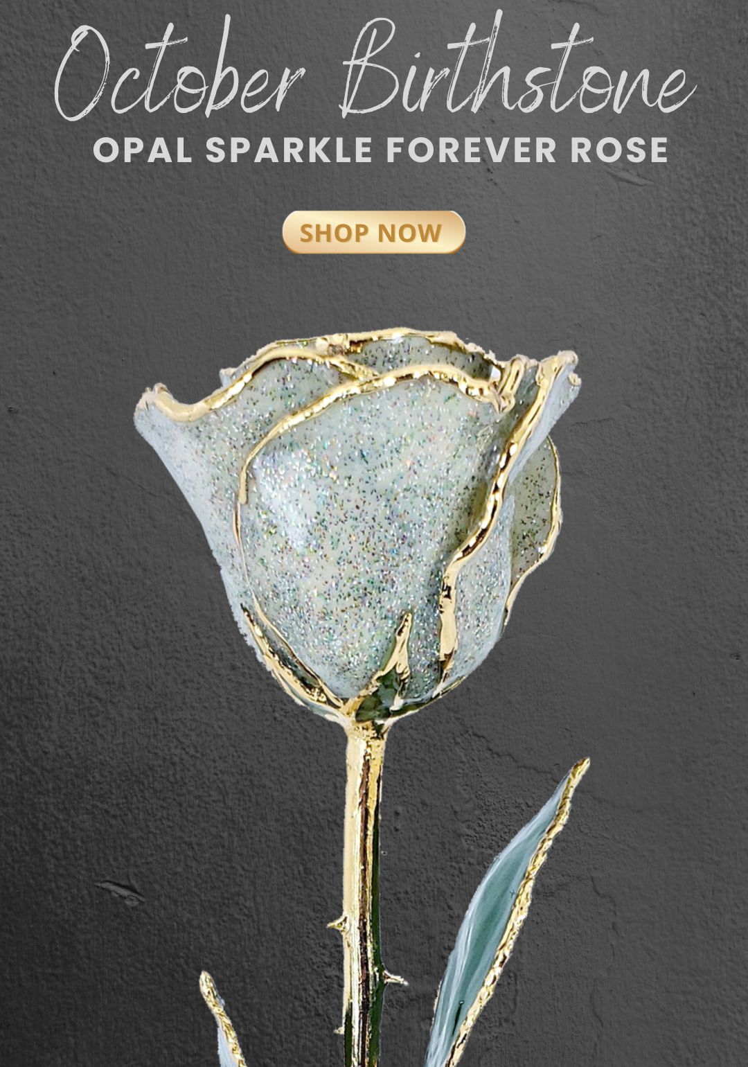 The Forever Rose: Trust us, the Opal Sparkle Forever Rose is worth the ...