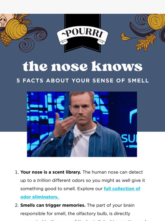 Poo~Pourri: 👃 Uncover 5 Fascinating Facts about Your Sniffer! | Milled