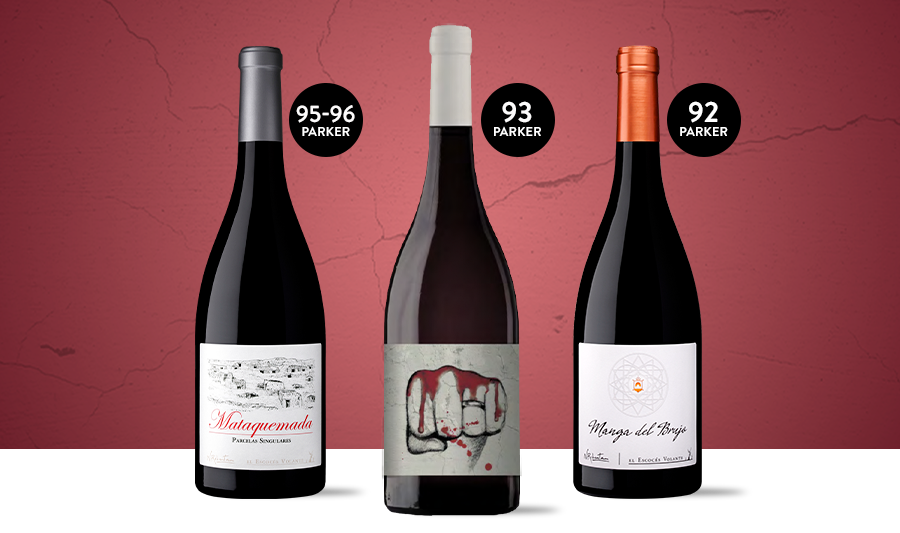Bodeboca: ¡Locos por la Garnacha! Con hasta 96 Parker, vuelve El ...