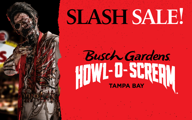 SeaWorld Parks: Meet the Creator of Furrybones, Misaki Sawada! | Milled